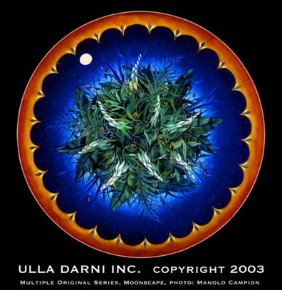 ULLA DARNI - Glass Artist, Galleria Silecchia