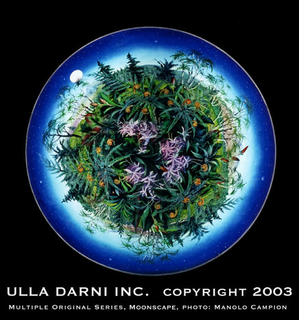 ULLA DARNI - Glass Artist, Galleria Silecchia